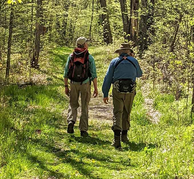 Hikers heading into sun-dappled forest, backpacks loaded with snacks they'll definitely eat before reaching the halfway point.