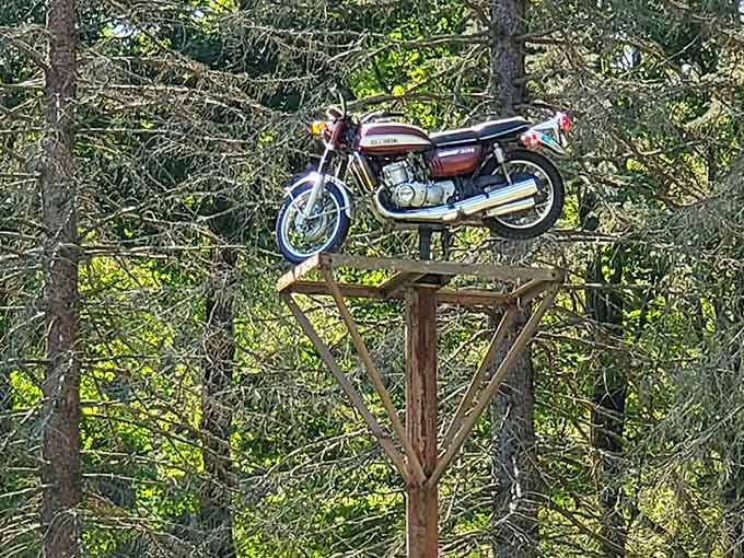 A Suzuki motorcycle perched high like a mechanical bird surveying its automotive kingdom below.