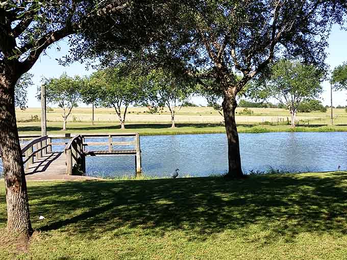 Schonest-Welt Park's peaceful pond and dock create the perfect spot for contemplating life beyond your endless to-do list.