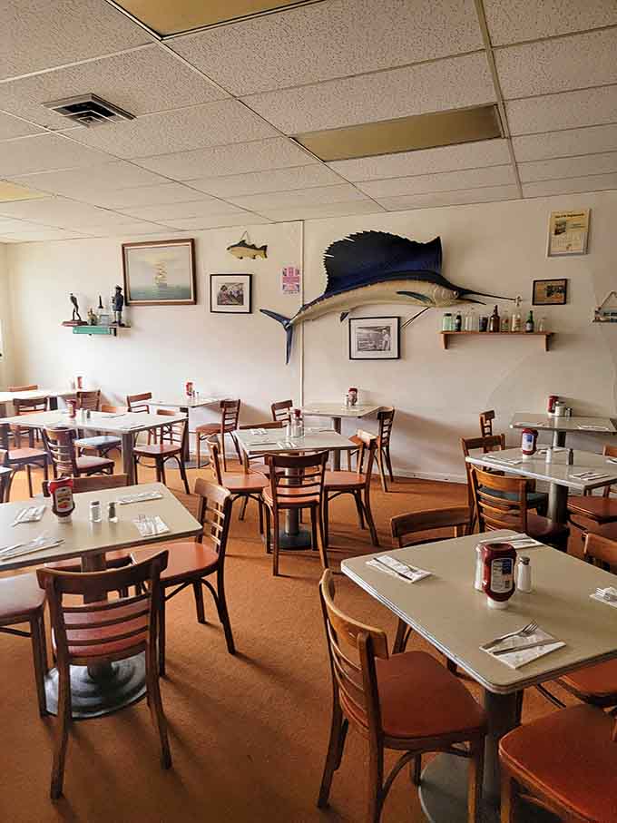 Wood paneling, simple tables, and mounted fish create an atmosphere that's refreshingly free of pretension or attitude.