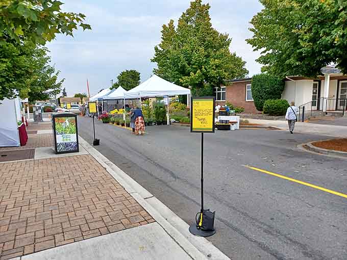 The farmers market brings local growers and buyers together in transactions that still involve actual conversations.