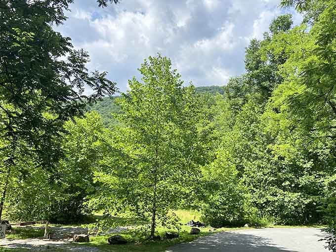 Summer's full glory transforms every vista into a postcard that your camera phone can't quite capture properly.