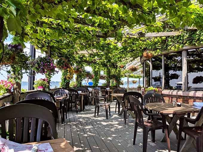 Dining under a canopy of vines with lake breezes is basically nature's way of saying you've made excellent life choices.