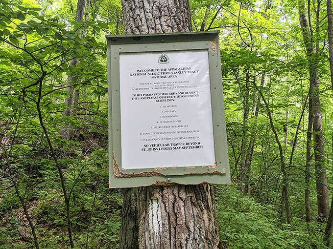Trail guidelines keeping everyone safe, because even nature needs a few reasonable rules to follow.