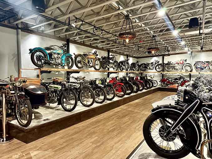 Vintage motorcycles displayed like art because some people appreciate horsepower the way others appreciate fine wine.