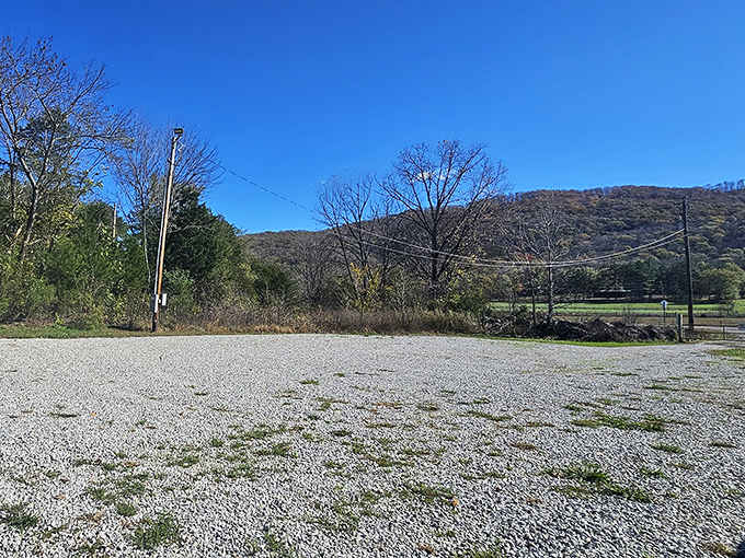 The gravel parking lot may look ordinary, but it's the launching point for one of Alabama's most extraordinary natural attractions.