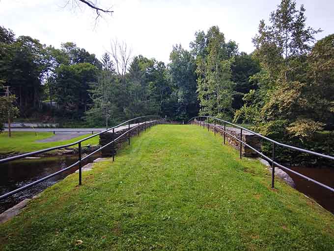 The view from atop the bridge, where you can see exactly why someone decided this spot needed preserving.