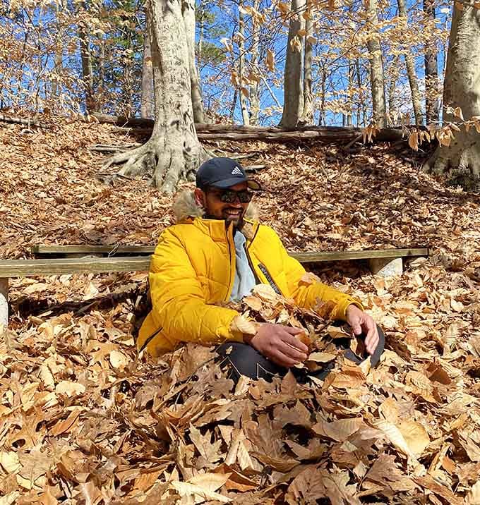 Pure joy captured in autumn leaves, because nature's confetti party never requires cleanup or a permit.