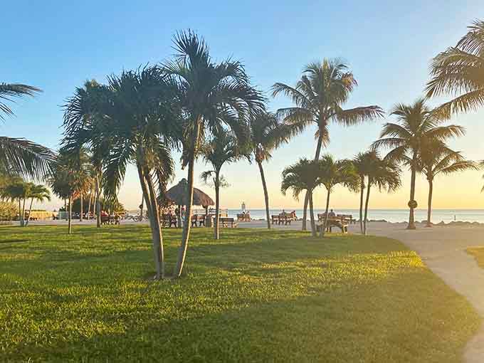 Golden hour transforms this grassy area into something straight out of a vacation commercial you'd actually believe.