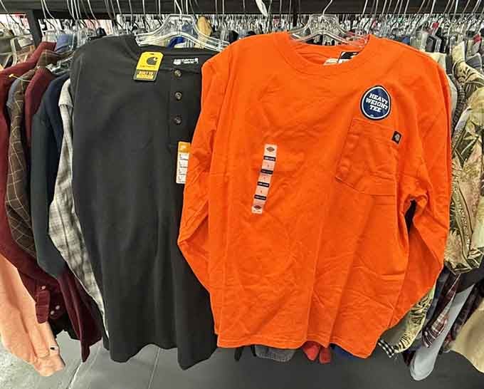 Brand name long sleeves at thrift store prices make layering for Oregon weather actually affordable for once.