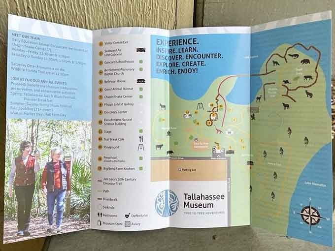 The museum brochure promises experiences that sound too good to be true but somehow aren't.