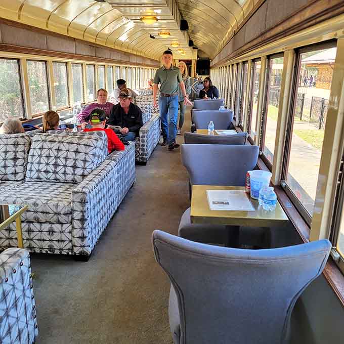 Inside the observation car, passengers settle in for views that'll make every mile feel like a discovery.