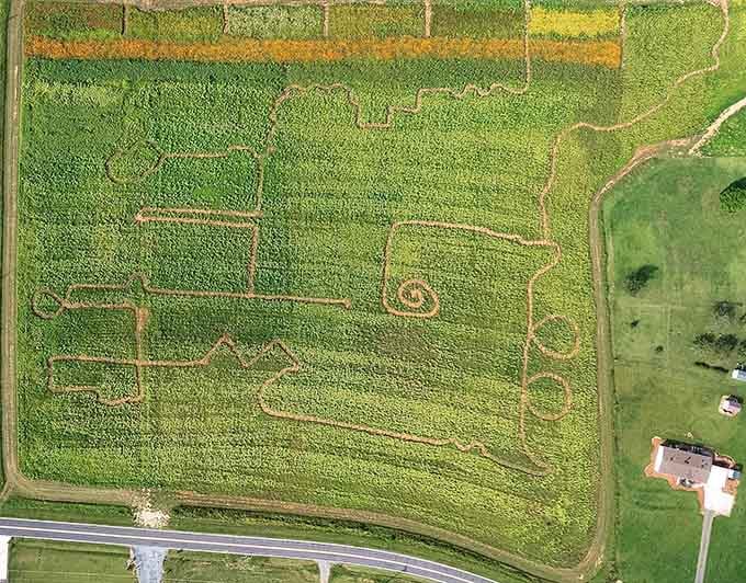 From above, the maze reveals its intricate design, proving someone put serious thought into your delightful confusion down below.