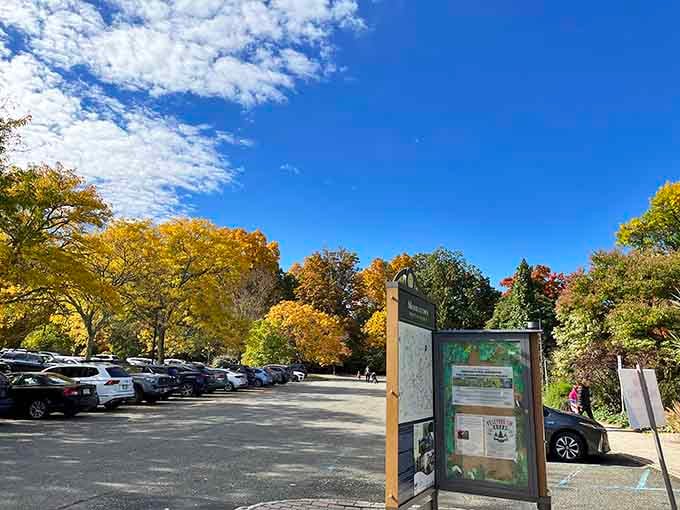 Even the parking lot gets surrounded by fall beauty, because this place refuses to do anything halfway.