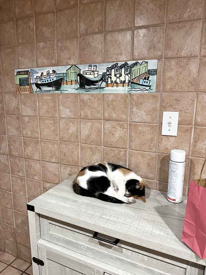 Caught mid-nap on the counter, this calico demonstrates the supreme confidence of Hemingway's polydactyl descendants.