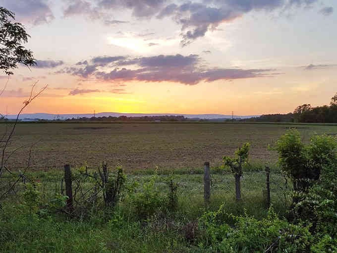 Shenandoah Valley sunsets provide the opening act, and honestly, they're tough competition for any movie.