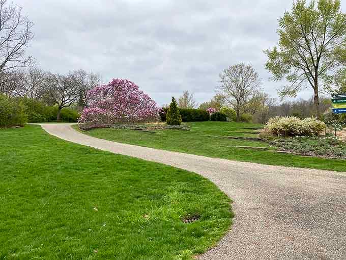 Garden paths in spring, proving that nature's landscaping skills put most professionals to shame completely.