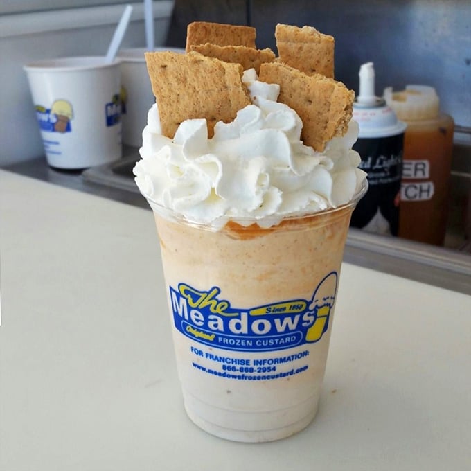 Pumpkin pie arctic swirl with graham crackers standing at attention like delicious little soldiers of autumn flavor.