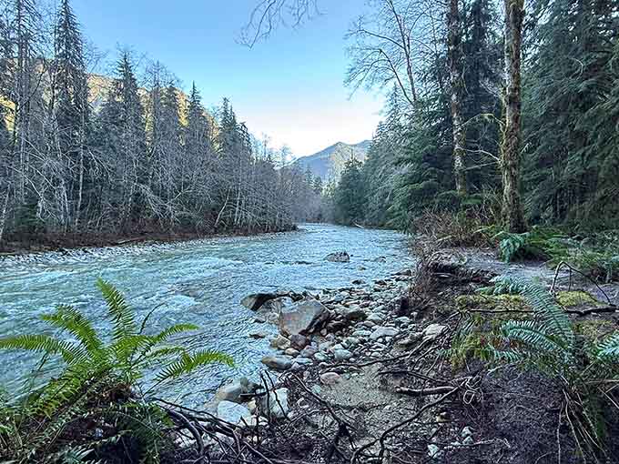 The river flows with the kind of persistence that makes you think maybe it knows something about life we don't.