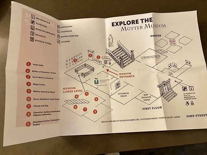 This handy map guides you through the museum's treasures&mdash;though "treasures" might be stretching it for some of these specimens.