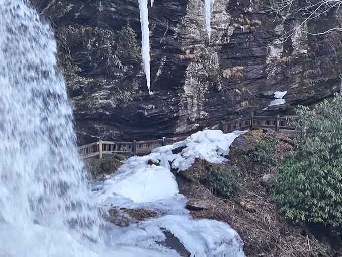 Winter transforms the falls into frozen art, proving nature's got serious range in the decorating department.