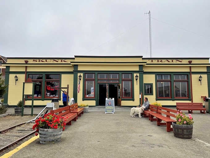 The cheerful yellow depot welcomes visitors with small-town charm and the promise of unforgettable redwood forest adventures ahead.