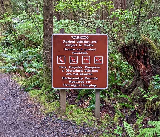 The rules are simple: respect the wilderness, and it'll reward you with unforgettable experiences.
