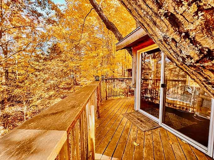 Fall foliage turns the deck into a front-row seat for nature's most spectacular color show, no ticket required.