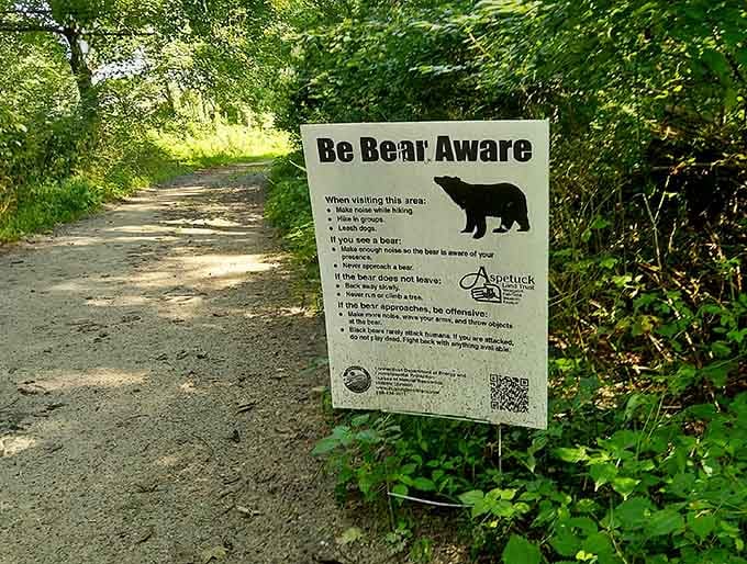 A bear awareness sign reminds us we're visitors here, not the main attraction, despite what our egos might suggest.