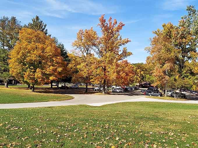 Fall transforms the campground into a painter's palette of gold and amber, rivaling New England without the crowds.