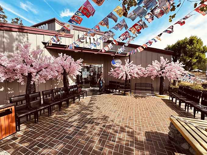 That outdoor waiting area with cherry blossoms suggests this place gets busy, and now you understand exactly why that happens.