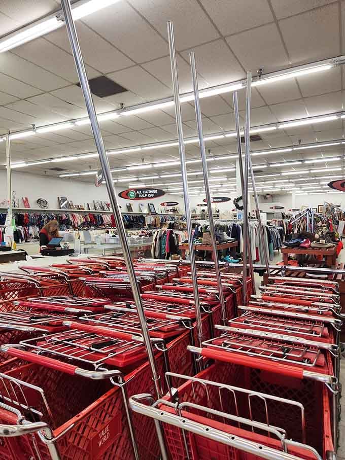 Shopping carts lined up like eager soldiers, ready to carry your discoveries through this magnificent treasure expedition.
