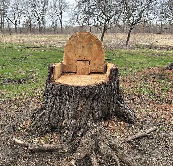 Someone carved this tree stump into a throne, because every forest needs a place for royalty.