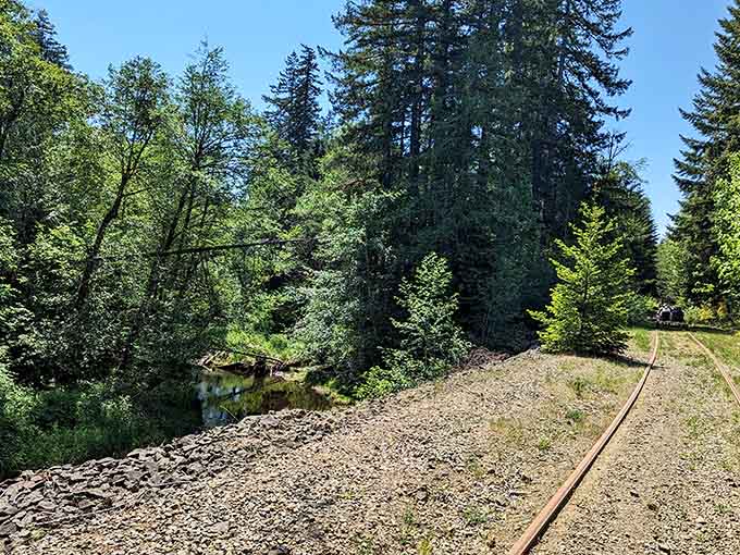 Peaceful water views along the route remind you why Washington's natural beauty is truly unmatched.