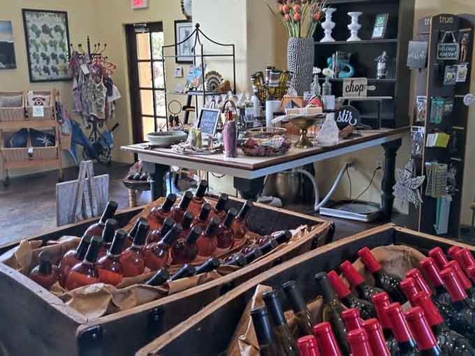 The tasting room displays bottles like artwork, because let's be honest, good wine deserves to be showcased properly.