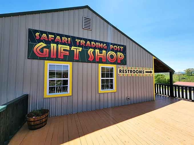 The gift shop where you can take home memories, minus the llama drool on your actual car.