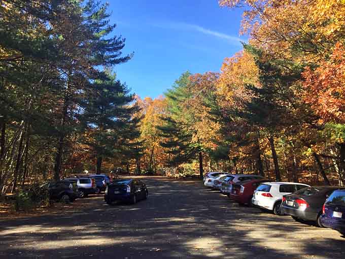 Fall foliage frames the parking lot, proving even mundane spaces become magical in New England autumn glory.