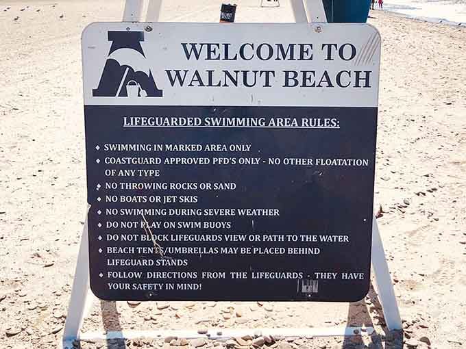 Rules are rules, but at least they're keeping everyone safe while they enjoy this surprisingly spectacular beach experience.