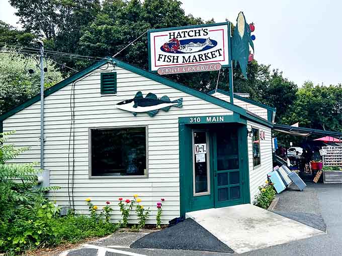 Fresh catch daily means your dinner was probably swimming this morning, which is exactly the point.
