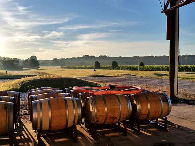Sunrise over the barrels, where yesterday's grapes become tomorrow's reason to visit again and again.