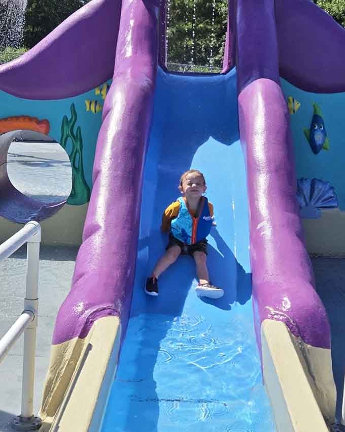 Even the smallest slides deliver big thrills when you're young enough to think three feet is basically Everest.