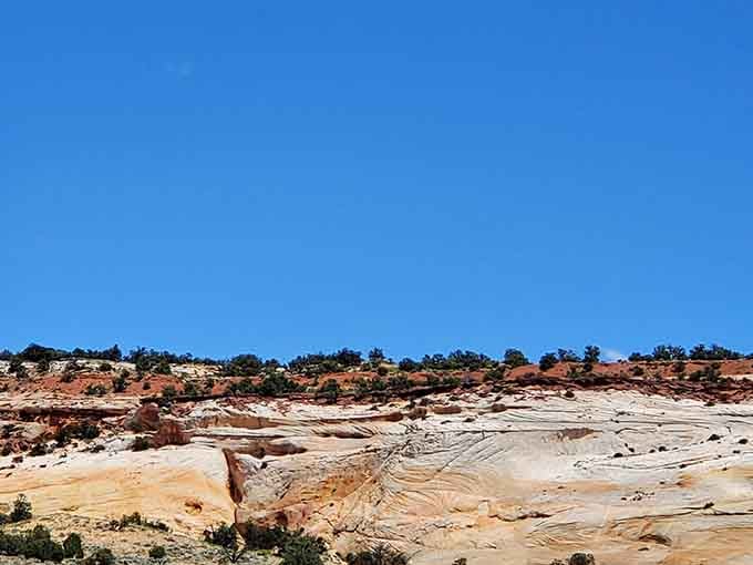 The layered sandstone stretches endlessly, like someone unrolled a giant scroll of Earth's history across the landscape.