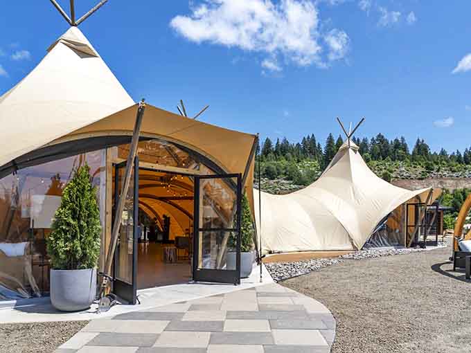 Under Canvas glamping tents prove you can sleep under stars without sacrificing the mattress quality your back desperately requires.