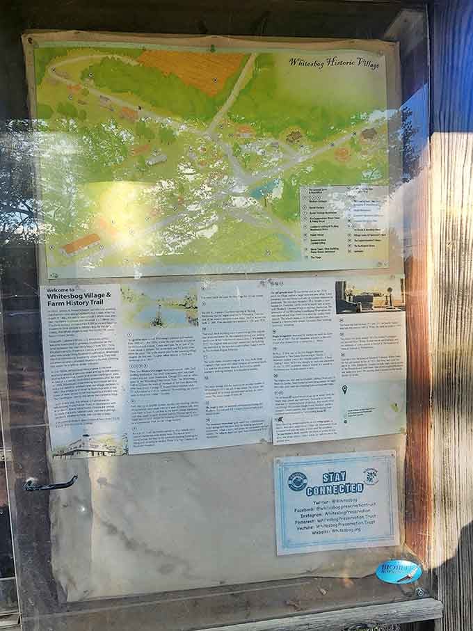 Information boards share fascinating stories about the people and processes that made Whitesbog a cranberry powerhouse.