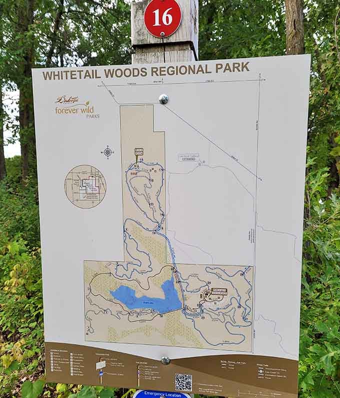 Every great adventure needs a map, even if you're the type who refuses to admit when you're lost.