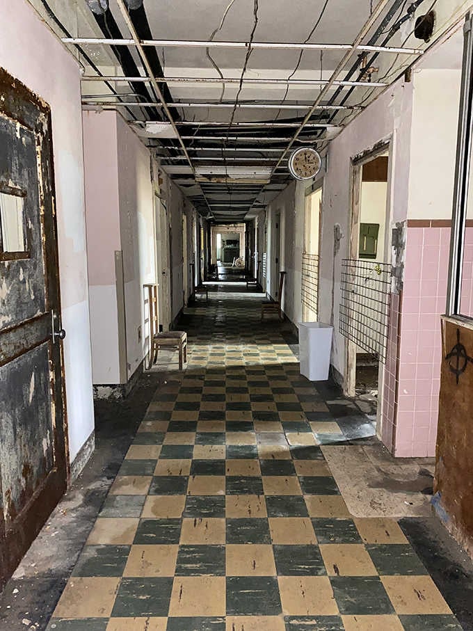 Hallways stretching endlessly into darkness, inviting exploration while simultaneously suggesting you maybe shouldn't accept that invitation at all.