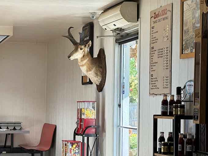 That mounted pronghorn has watched countless satisfied customers leave, probably wishing it could taste the brisket too.