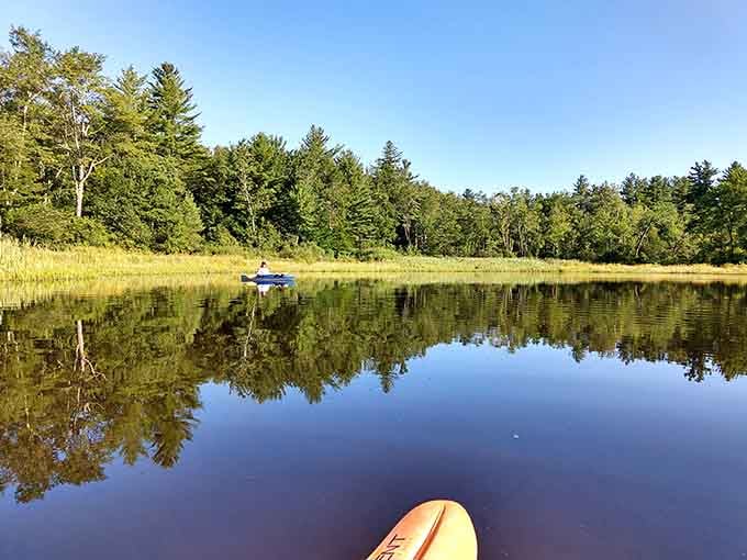 Paddleboards glide across the still pond where reflections create a mirror image doubling nature's already generous beauty.