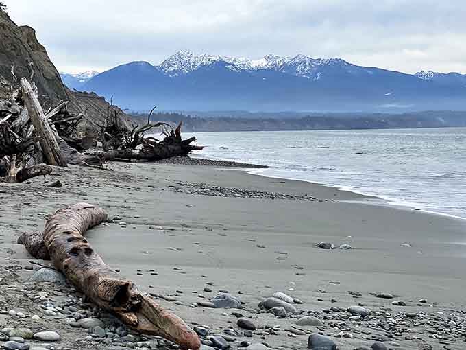 Massive driftwood logs rest on gray sand, with snow-dusted mountains floating like dreams in the misty distance.