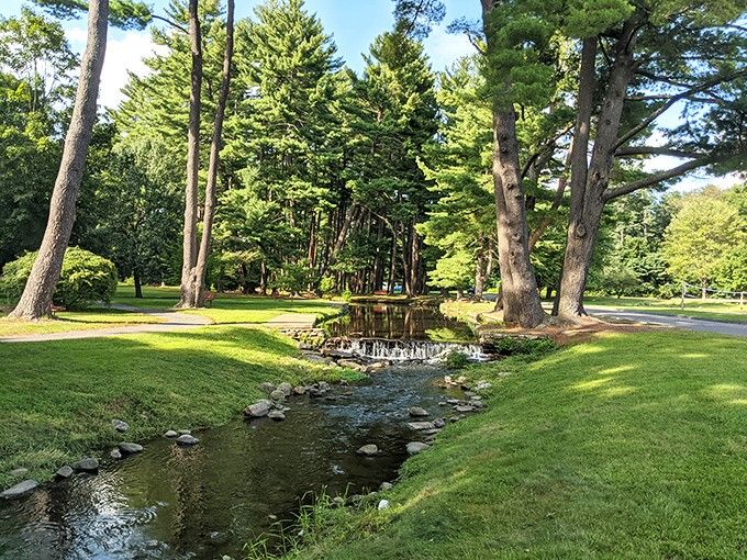 A babbling brook meanders through towering pines, creating nature's most soothing background music.